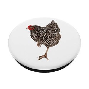 Barred Rock Chicken PopSockets PopGrip: Swappable Grip for Phones & Tablets