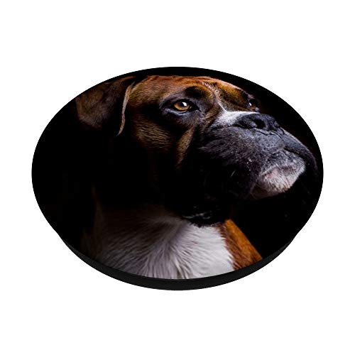 Boxer Dog PopSockets PopGrip: Swappable Grip for Phones & Tablets