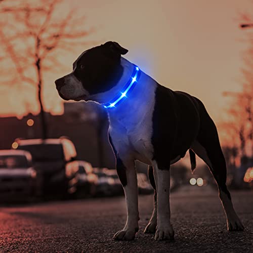 MASBRILL Led Dog Collar-Rechargeable Light Up Dog Collars Water-Resistant Lighted Dog Collar Flashing Glow Dog Collar for Dogs