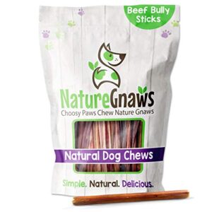 nature gnaws small bully sticks for dogs - premium natural beef bones - thin long lasting dog chew treats for light chewers & puppies - rawhide free - 6 inch (5 count)