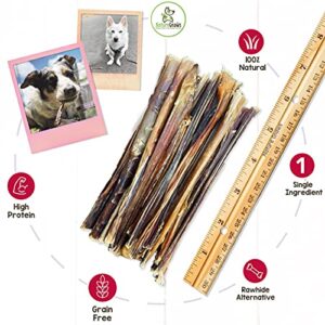 Nature Gnaws Pork Bully Sticks for Dogs - Premium Natural Dental Bones - Long Lasting Dog Chew Treats for Small Dogs & Puppies - Rawhide Free 15 Count (Pack of 1)