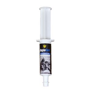 magnagard pre-performance paste for horses - all natural calmer, acid buffer, gastric support w/ electrolytes - 60ml syringe