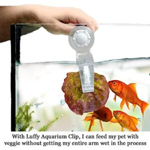 Luffy Betta Indian Almond Catappa Leaf Holder, 4" x 2" Large Suction Cup Clip Hold Plastic Cups for Crested & Leopard Gecko, Veggie & Seaweed Holder, for Goldfish, Guppy, Shrimp & Freshwater Fish