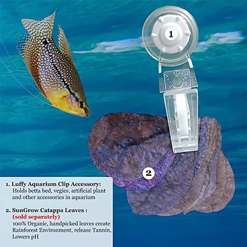 Luffy Betta Indian Almond Catappa Leaf Holder, 4" x 2" Large Suction Cup Clip Hold Plastic Cups for Crested & Leopard Gecko, Veggie & Seaweed Holder, for Goldfish, Guppy, Shrimp & Freshwater Fish