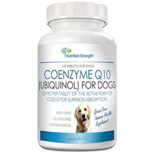 nutrition strength coenzyme q10 for dogs grain-free supplement, ubiquinol - the electron-rich form of coq10, promotes heart health, cognitive and energy support for dogs, 120 chewable tablets