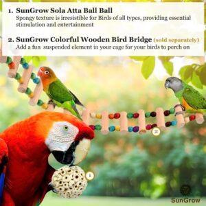 SunGrow Sola Atta Foraging Balls, 2”, White Soft Shred Parrot Chews, Bird Chewing Accessories for Conure, Budgie, Parakeet, Cockatiel, Rabbits, Hamsters, and Other Small Pets, 3 Pcs/Pack