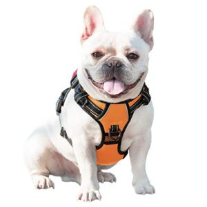 PHOEPET No Pull Dog Harness Medium Reflective Front Clip Vest with Handle,Adjustable 2 Metal Rings 3 Buckles,[Easy to Put on & Take Off](M, Orange)