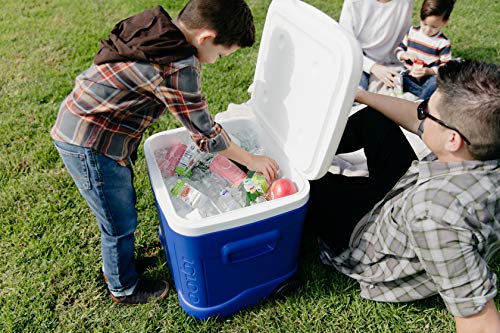 Igloo Ice Cube 60 Quart Roller Cooler , Ocean Blue