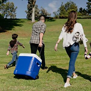 Igloo Ice Cube 60 Quart Roller Cooler , Ocean Blue