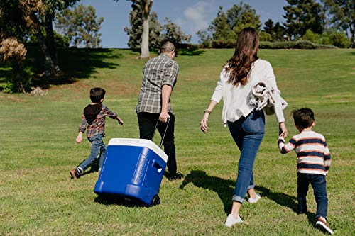 Igloo Ice Cube 60 Quart Roller Cooler , Ocean Blue