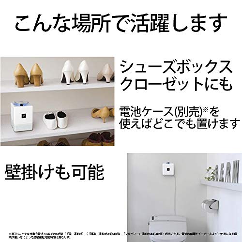 Sharp Plasmacluster Ion Air Purifier portable (IG-EX20) | Japan Import (Black)