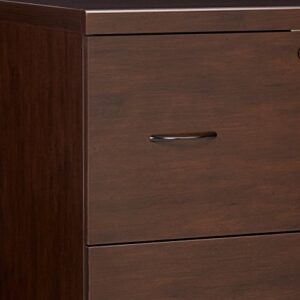 Z-Line Designs 2-Drawer Lateral File Espresso Cabinet with Black Accents