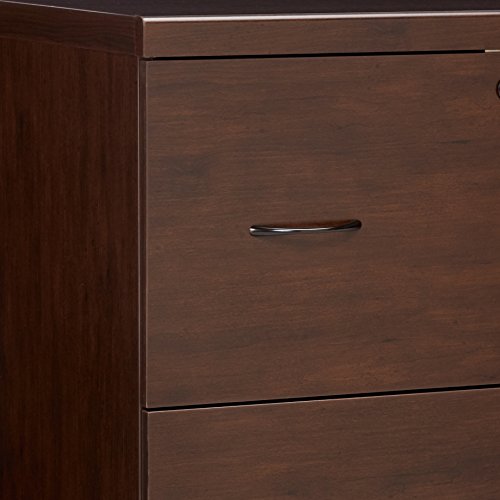 Z-Line Designs 2-Drawer Lateral File Espresso Cabinet with Black Accents