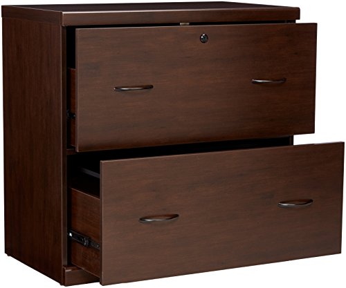 Z-Line Designs 2-Drawer Lateral File Espresso Cabinet with Black Accents