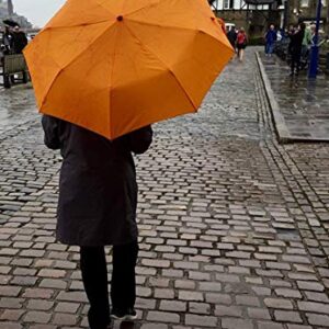 Lewis N. Clark Travel Umbrella Windproof & Water Repellent Fabric, Automatic Open Close & 1 Year Warranty, Orange