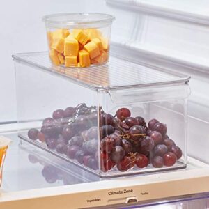 iDesign Plastic Refrigerator and Freezer Storage Bin with Lid, BPA-Free Organizer for Kitchen, Garage, Basement, 6" x 6" x 14.5", Clear