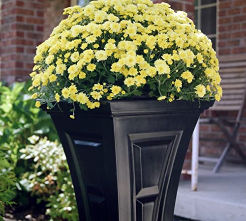 FCMP Outdoor Heritage Planter (2-Pack) Outdoor Planter, Tall, Black