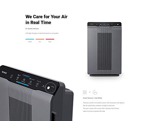 Winix 5300-2 Air Purifier with True HEPA, PlasmaWave and Odor Reducing Carbon Filter,Gray Medium