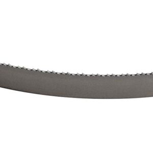 Sub-Compact Portable Band Saw Blades