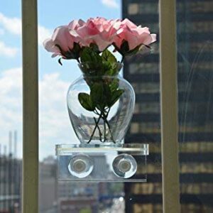 LaBrinx Designs Small Suction Cup Shelf - Live Plants, Windows, and Bathrooms