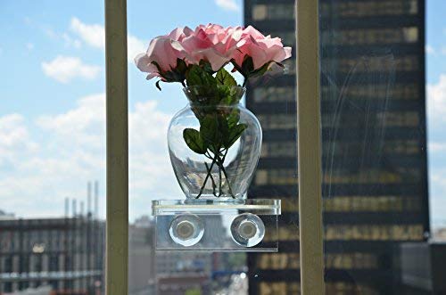 LaBrinx Designs Small Suction Cup Shelf - Live Plants, Windows, and Bathrooms