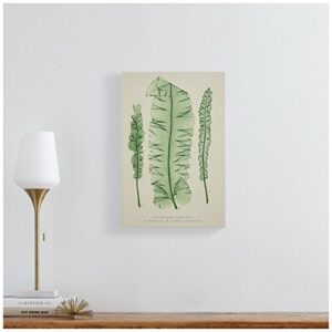 Amazon Brand – Stone & Beam Modern Green on White Botanical Canvas Print Wall Art, 16" x 24"