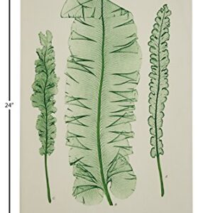 Amazon Brand – Stone & Beam Modern Green on White Botanical Canvas Print Wall Art, 16" x 24"