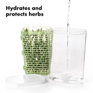 OXO Good Grips GreenSaver Herb Keeper- 2.8 QT