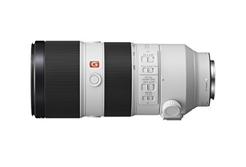 Sony FE 70-200mm f/2.8 GM OSS Lens (Renewed)