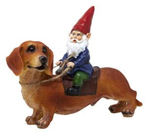 funny guy mugs gnome and a dachshund garden gnome statue- indoor/outdoor garden gnome sculpture for patio, yard or lawn