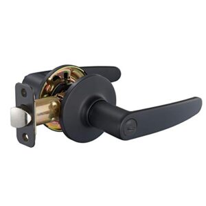 amazon basics straight door lever with lock, privacy, matte black