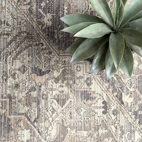 nuLOOM Vintage Harriet Medallion Fringe Area Rug, 8' x 10', Silver