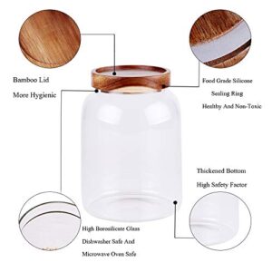 LEAVES AND TREES Y Glass Storage Jar, Food Storage Container/Canisters with Airtight Lid for Serving Tea, Coffee, Honey.Spice, Perfect as a Cereal Dispenser (6.3 inch high)