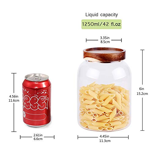 LEAVES AND TREES Y Glass Storage Jar, Food Storage Container/Canisters with Airtight Lid for Serving Tea, Coffee, Honey.Spice, Perfect as a Cereal Dispenser (6.3 inch high)