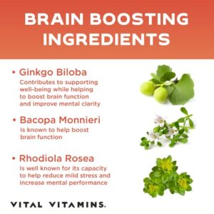 Vital Vitamins Brain Supplements for Memory & Focus - Brain Booster Nootropic - Brain Support for Concentration & Brain Fog - with Ginkgo Biloba, DMAE, Vitamin B12 - Energy Pills - 30-Day Supply