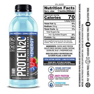 Protein2o 15g Whey Protein Infused Water Plus Energy, Variety Pack, 16.9 oz Bottle (12 Count)