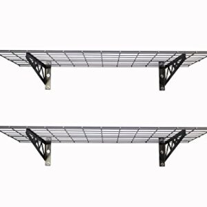 MonsterRax | Garage Wall Shelf Two-Pack White or Hammertone | Three Size Options | Includes Bike Hooks | 500lb Weight Capacity (Hammertone, 18"x36")