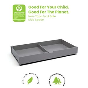 Delta Children Under Crib Roll-Out Storage - Greenguard Gold Certified, Grey