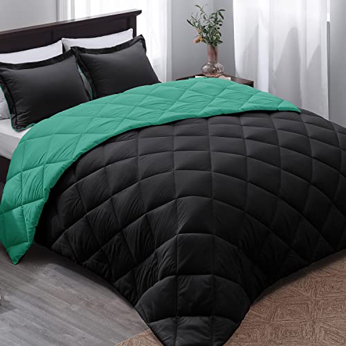 Basic Beyond Queen Comforter Set - Green Comforter Set Queen, Reversible Bed Comforter Queen Set for All Seasons, Black/Mint Leaf, 1 Comforter (88"x92") and 2 Pillow Shams (20"x26"+2")