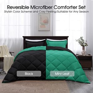 Basic Beyond Queen Comforter Set - Green Comforter Set Queen, Reversible Bed Comforter Queen Set for All Seasons, Black/Mint Leaf, 1 Comforter (88"x92") and 2 Pillow Shams (20"x26"+2")