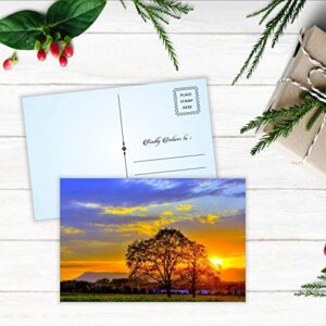 PARTH iMPEX Seasonal Nature Postcards - (Pack of 54) 4"x6" Bulk Variety of Fall Autumn Winter Summer Spring Theme with Mailing Side - all Occasion Cards