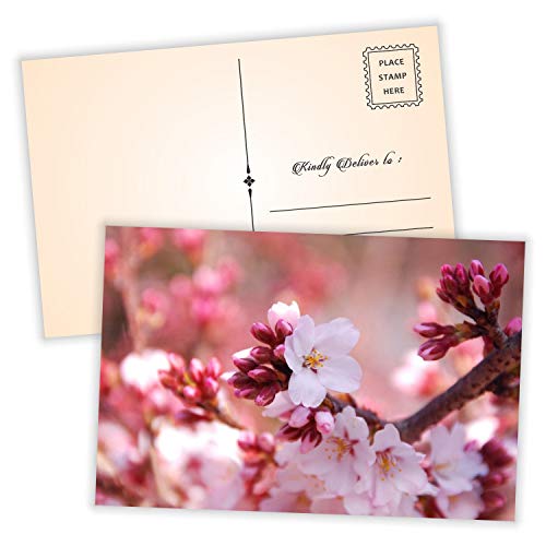 PARTH iMPEX Seasonal Nature Postcards - (Pack of 54) 4"x6" Bulk Variety of Fall Autumn Winter Summer Spring Theme with Mailing Side - all Occasion Cards