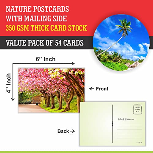 PARTH iMPEX Seasonal Nature Postcards - (Pack of 54) 4"x6" Bulk Variety of Fall Autumn Winter Summer Spring Theme with Mailing Side - all Occasion Cards