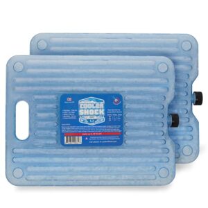 cooler shock ice packs for cooler - 2 reusable, long lasting, cold freezer packs for coolers, lunch bags & totes to keep food fresh - clear