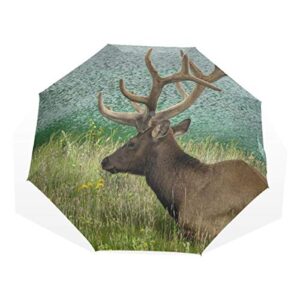 Kids Fold Umbrella Deer Animal Wildlife Nature Windproof Windproof Umbrella Compact Rain & Wind Resistant Compact And Lightweight For Business And Travels