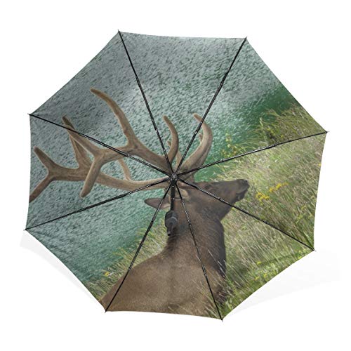 Kids Fold Umbrella Deer Animal Wildlife Nature Windproof Windproof Umbrella Compact Rain & Wind Resistant Compact And Lightweight For Business And Travels