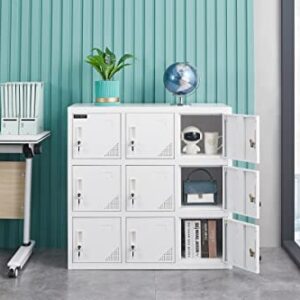 MAYROY Metal Locker Office Storage Locker Home Steel Locker School Storage Organizer, Storage Cabinet for Kids Students Employee (W9D) (Full White)