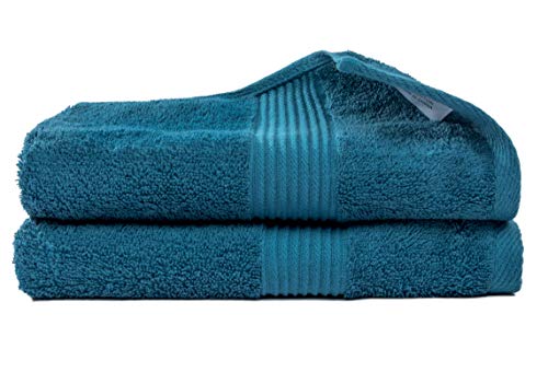 Babiclean Towel Set Absorbent Light Weight and Fast Dry Washcloth Quick Dry Bathroom Hand Towels Durable for Hotel, Spa, Salon and Gym (Hand Towel, Blue)