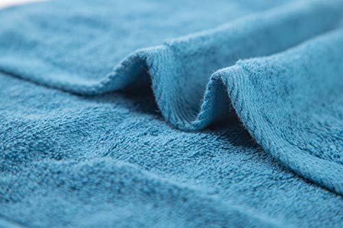 Babiclean Towel Set Absorbent Light Weight and Fast Dry Washcloth Quick Dry Bathroom Hand Towels Durable for Hotel, Spa, Salon and Gym (Hand Towel, Blue)