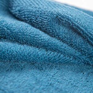 Babiclean Towel Set Absorbent Light Weight and Fast Dry Washcloth Quick Dry Bathroom Hand Towels Durable for Hotel, Spa, Salon and Gym (Hand Towel, Blue)